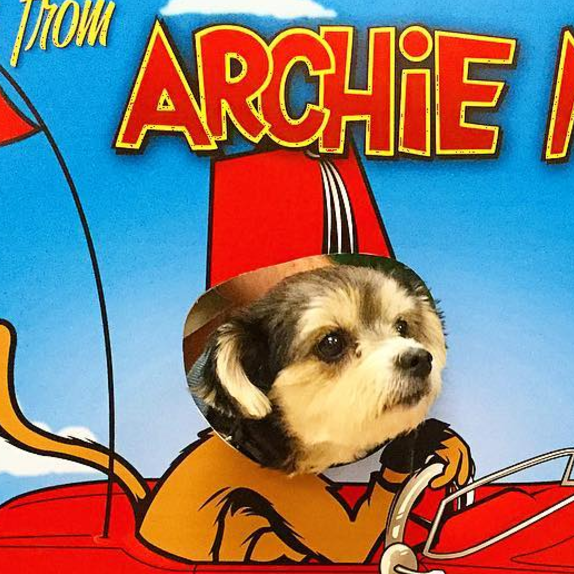 New dog photo op at the Archie McPhee store