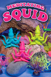 Novelty Store, Funny Gifts, Fun Toys | Archie McPhee