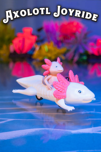 Novelty Store, Funny Gifts, Fun Toys | Archie McPhee