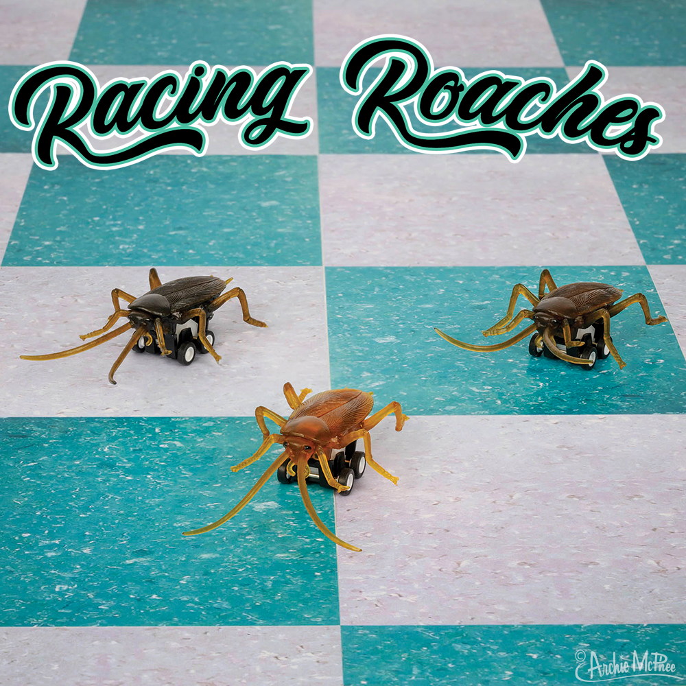 Racing Roaches - Set of 3 – Archie McPhee