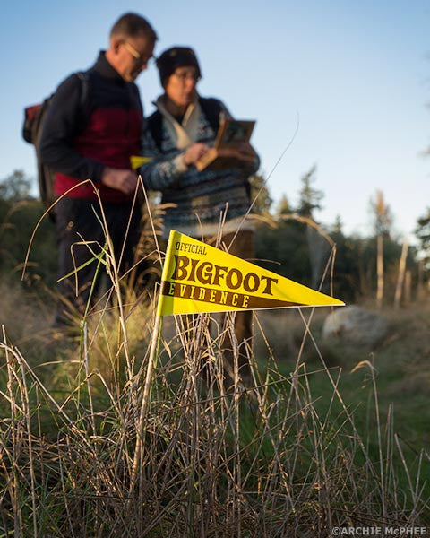 Bigfoot Research Kit - Archie McPhee & Co.