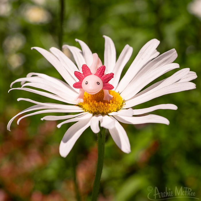 Itty Bitty Axolotls - Bag of 8 – Archie McPhee